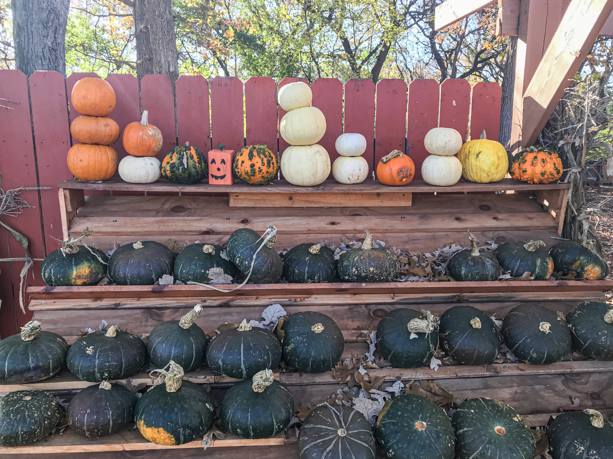 Fall Decorations and Accent Plants | Doehling's Farm Market
